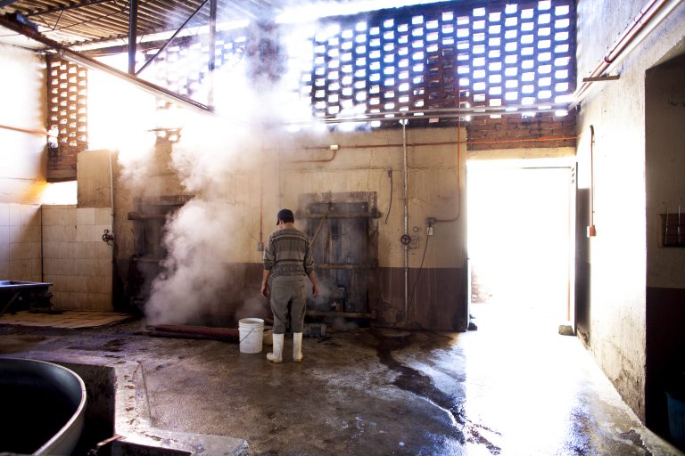 Putting Diffuser-made Tequilas to the Blind Taste Test | TasteTequila