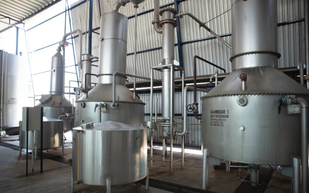 Process Matters in Tequila Production. Here's the Proof. | TasteTequila