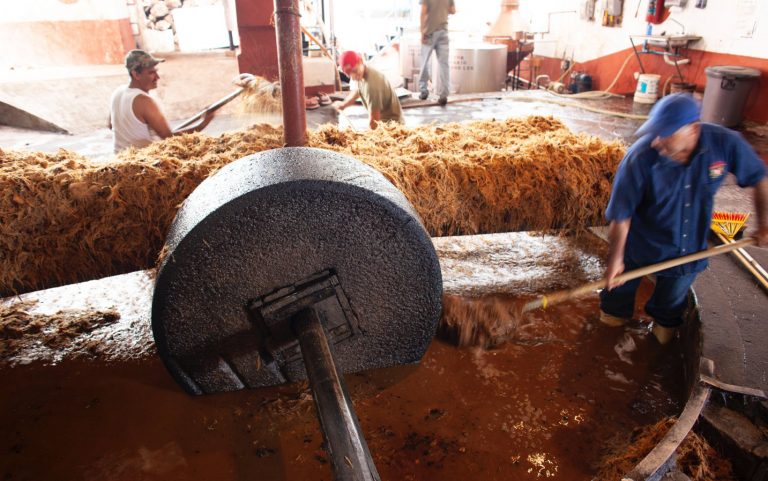 Process Matters in Tequila Production. Here's the Proof. | TasteTequila