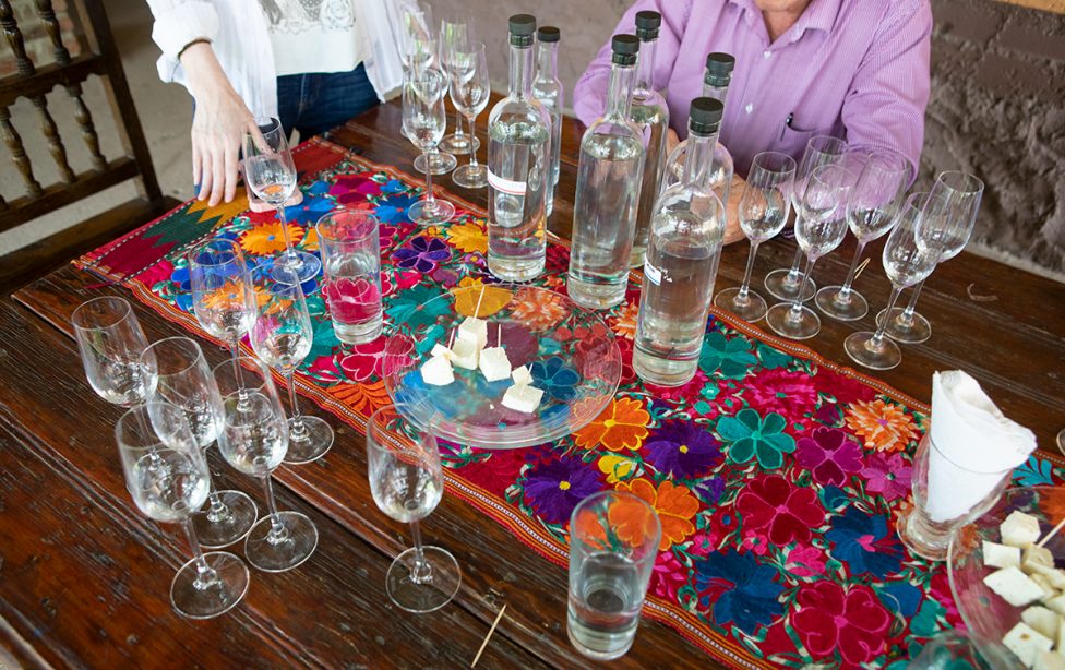 How (Not) To Begin A Tequila Model - inside.pub