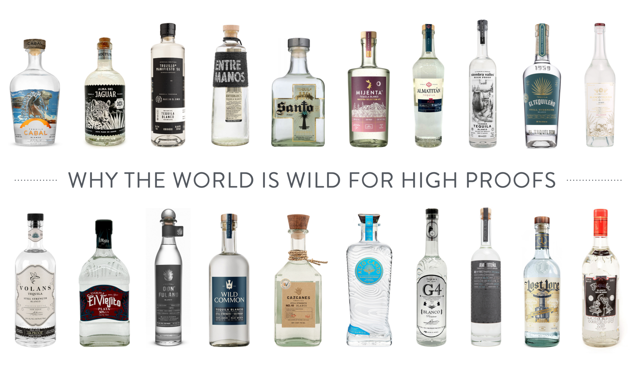 Hail to the High Proofs! These 20 Tequilas are Superb Sippers | TasteTequila